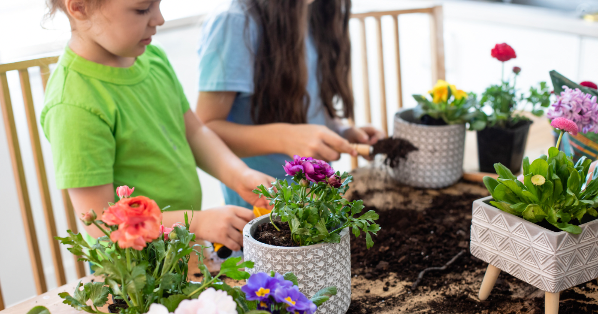 A Guide to Swimming Pools in and Around Fredericksburg, VA ...